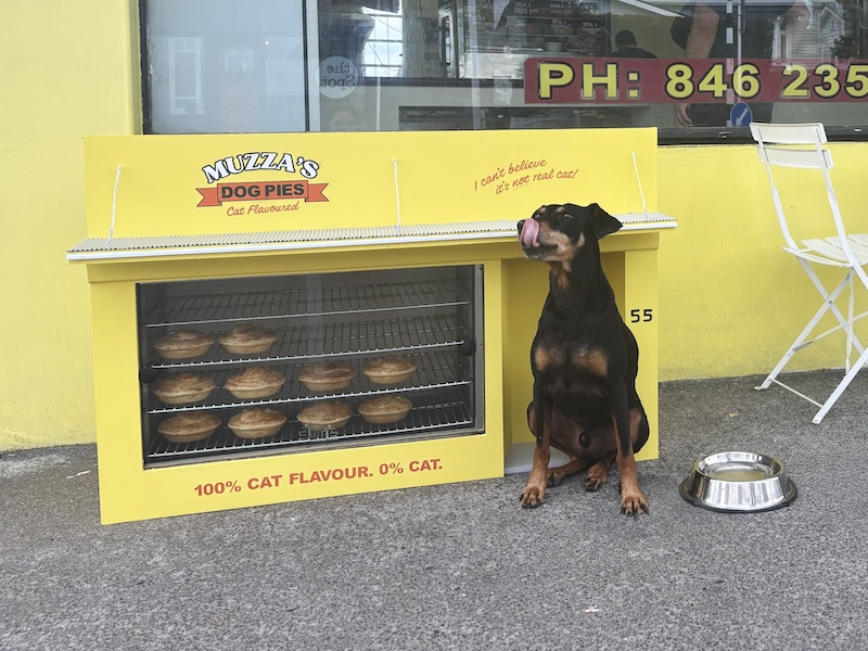 Muzza’s ‘cat-flavoured’ dog pies go global with help from Thinkerbell ...